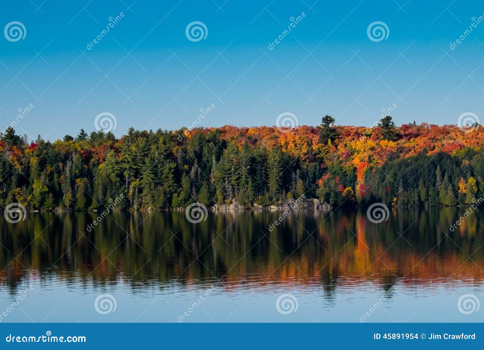 Fall colors and reflection stock photo. Image of november - 45891954