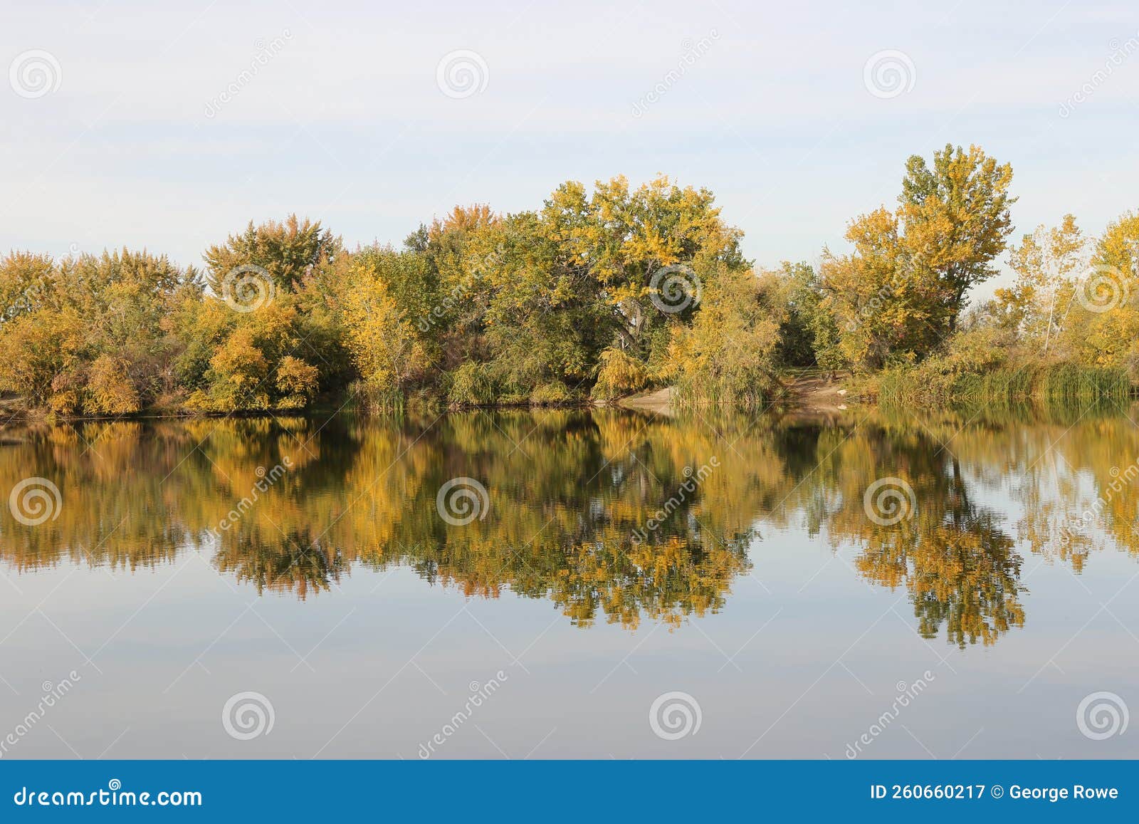 Fall Colors stock image. Image of colorful, nature, colors - 260660217
