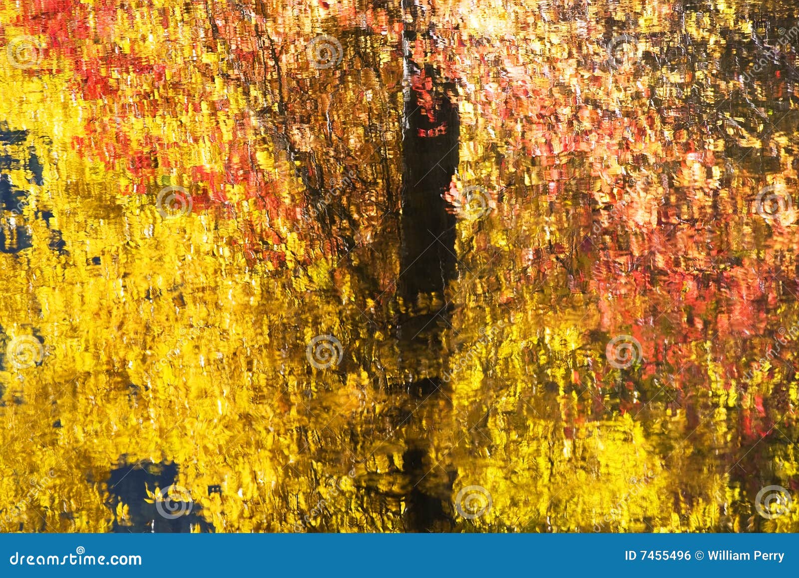 Fall Colors Reflections Abstract Stock Photo - Image of branch, leaf ...