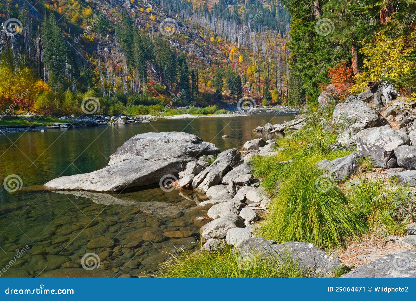 Fall colors by the river stock image. Image of scenic - 29664471