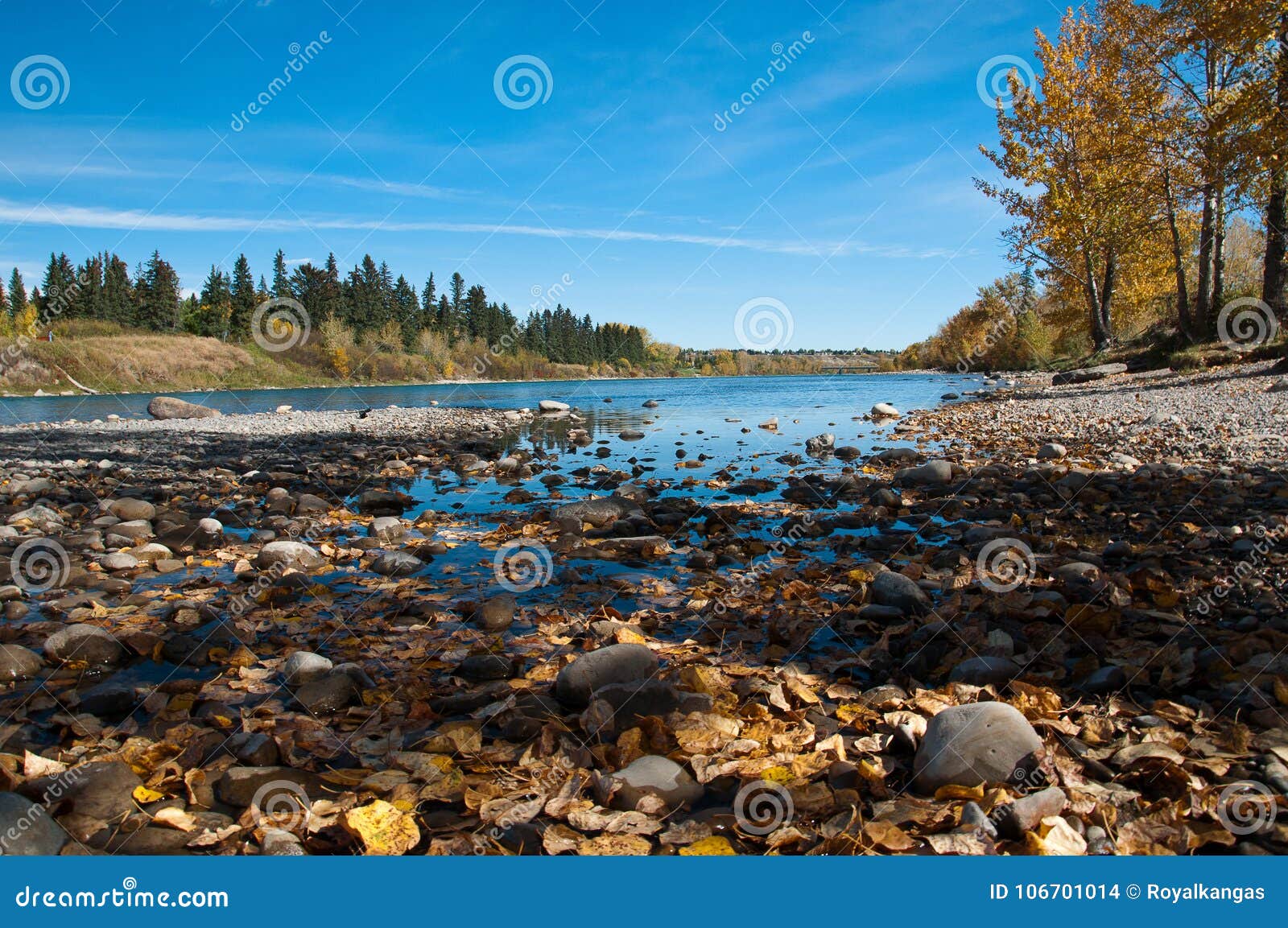 Fall Colors by the River stock photo. Image of landscapes - 106701014