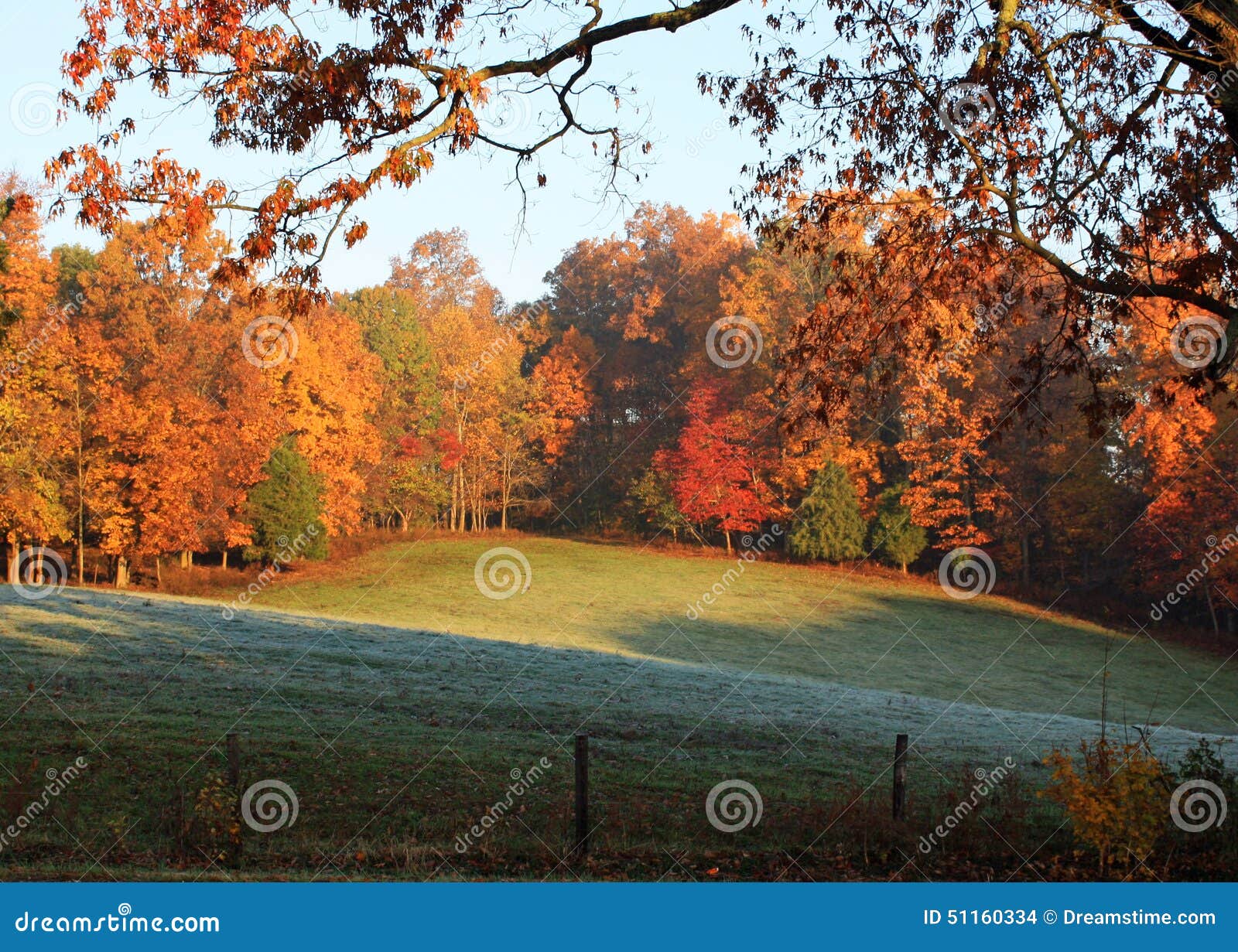 Fall Colors stock photo. Image of pasture, kentucky, trees - 51160334
