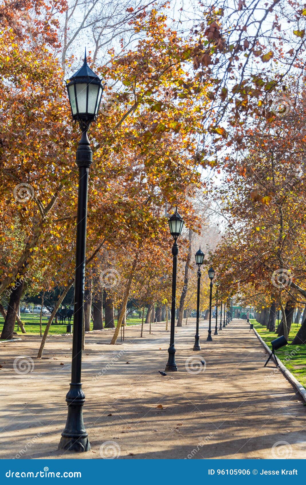 Fall Colors in Santiago, Chile Stock Photo - Image of chile, park: 96105906