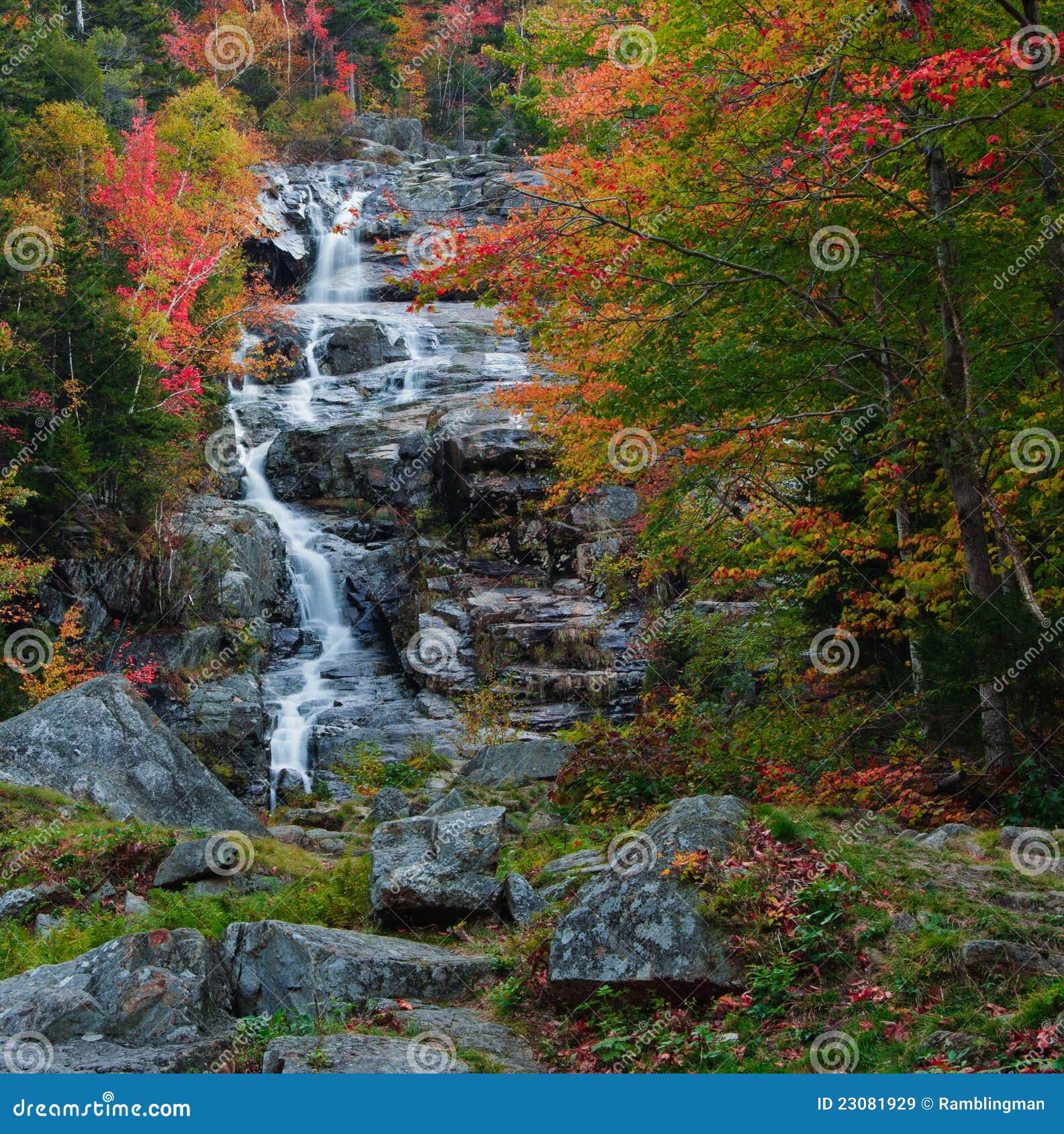 Silver Cascade Falls In Kodaikanal Royalty-Free Stock Image ...