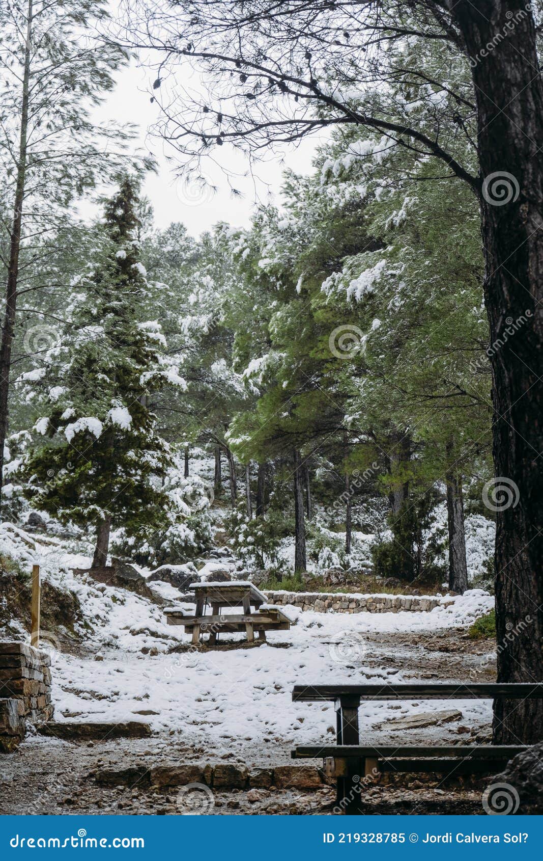 Fall Colors with Snow in the Mountains Stock Image - Image of america ...