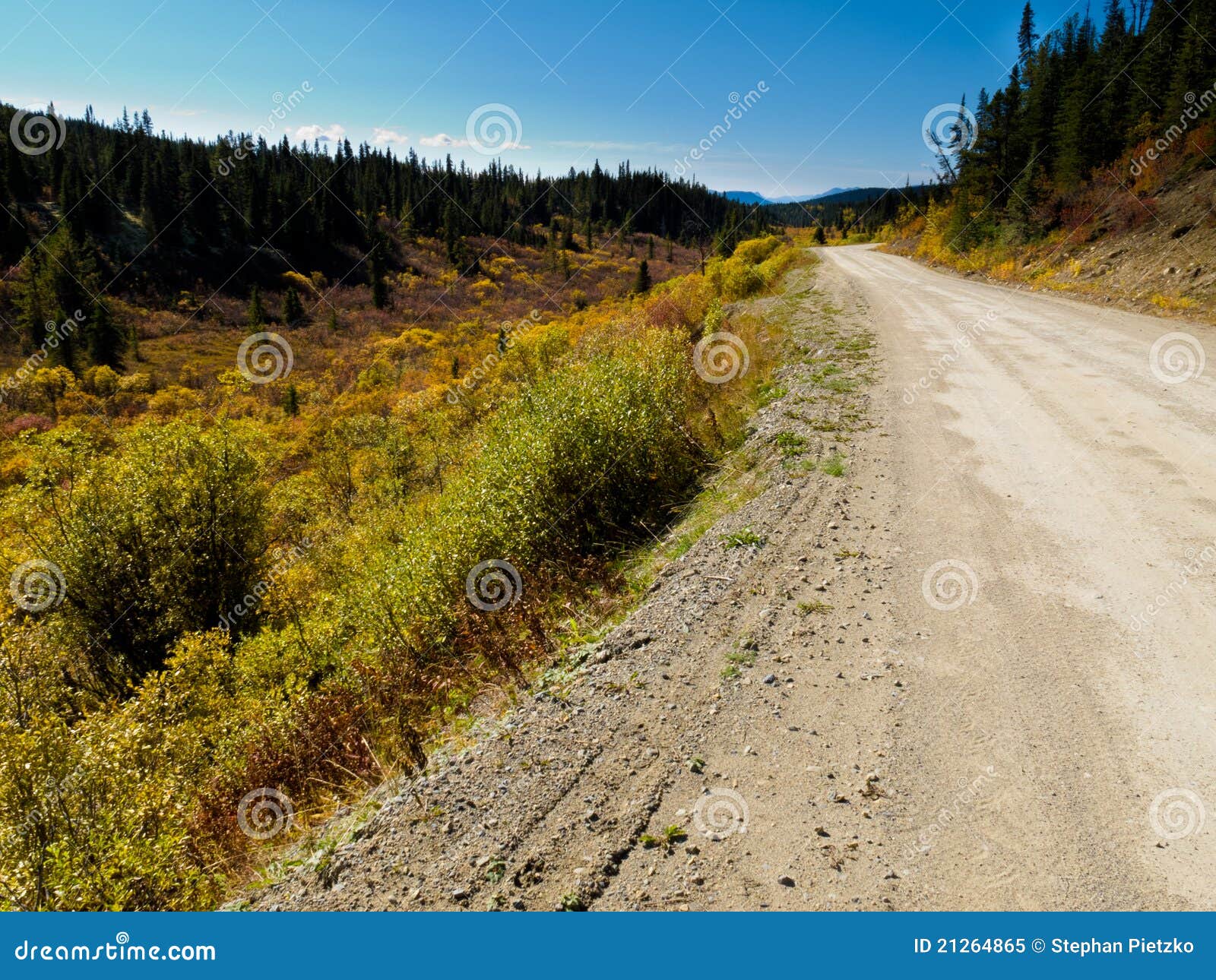 Fall Colors at South Canol Road, Yukon T, Canada Stock Image - Image of ...