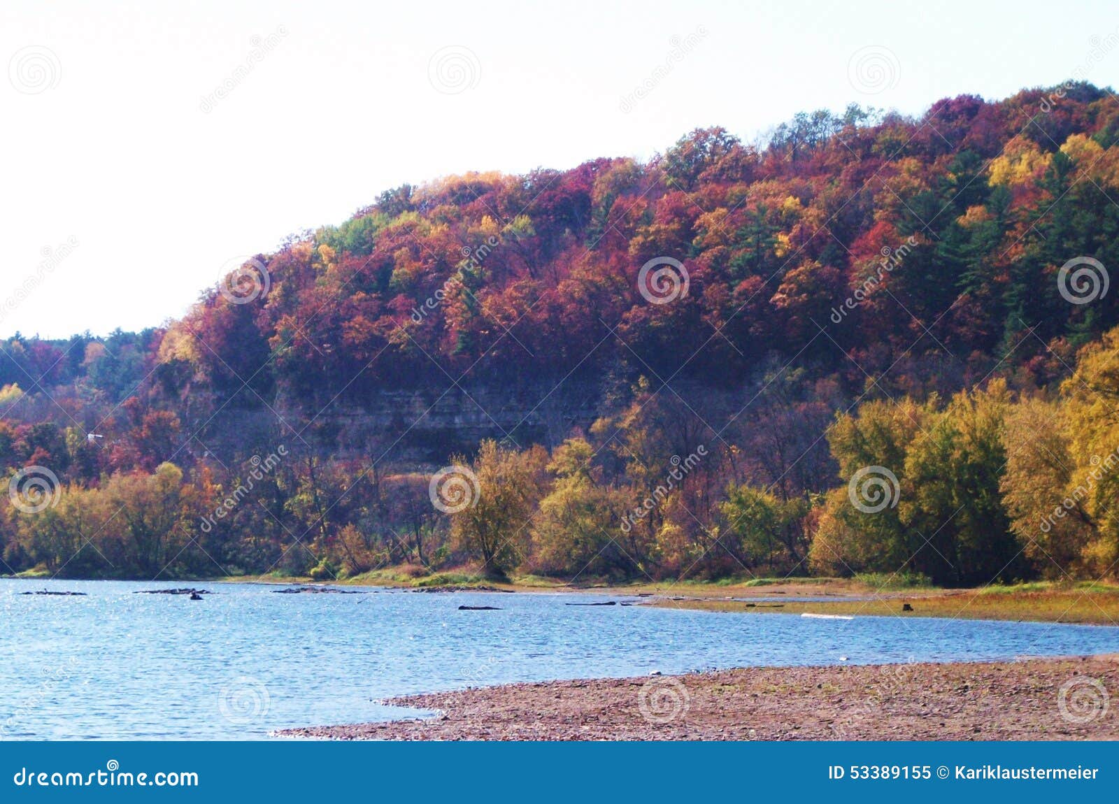 Fall Colors on the St. Croix River Stock Image - Image of garden, river ...