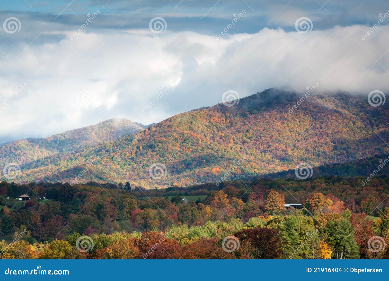 Fall Colors after the Storm Stock Photo - Image of nature, clouds: 21916404