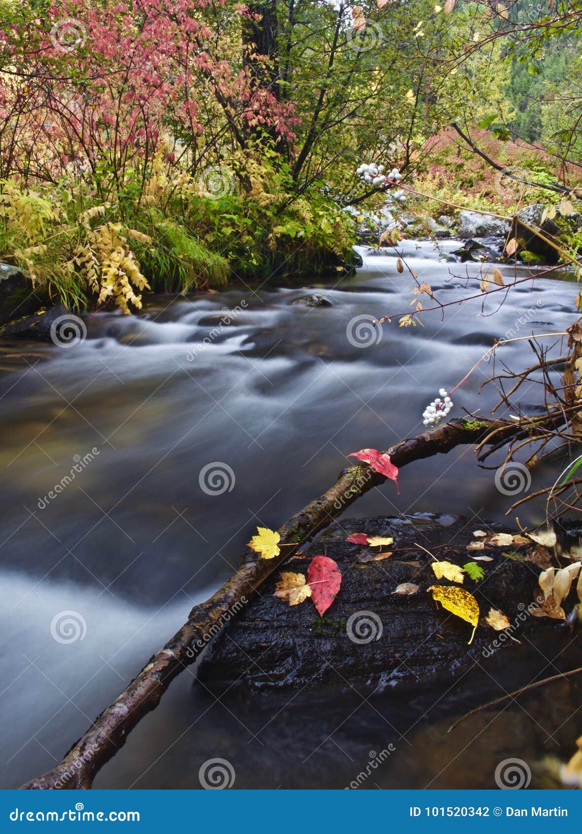 Fall Colors on the Stream stock photo. Image of colors - 101520342