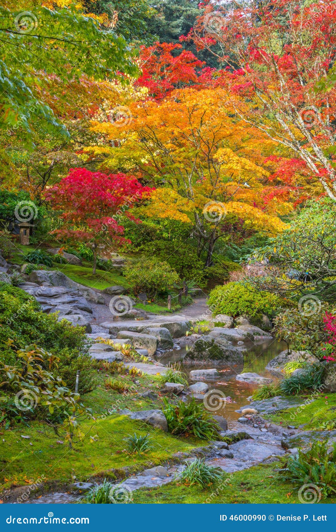 427 Vivid Colors Natural Landscapes Photos - Free & Royalty-Free Stock ...