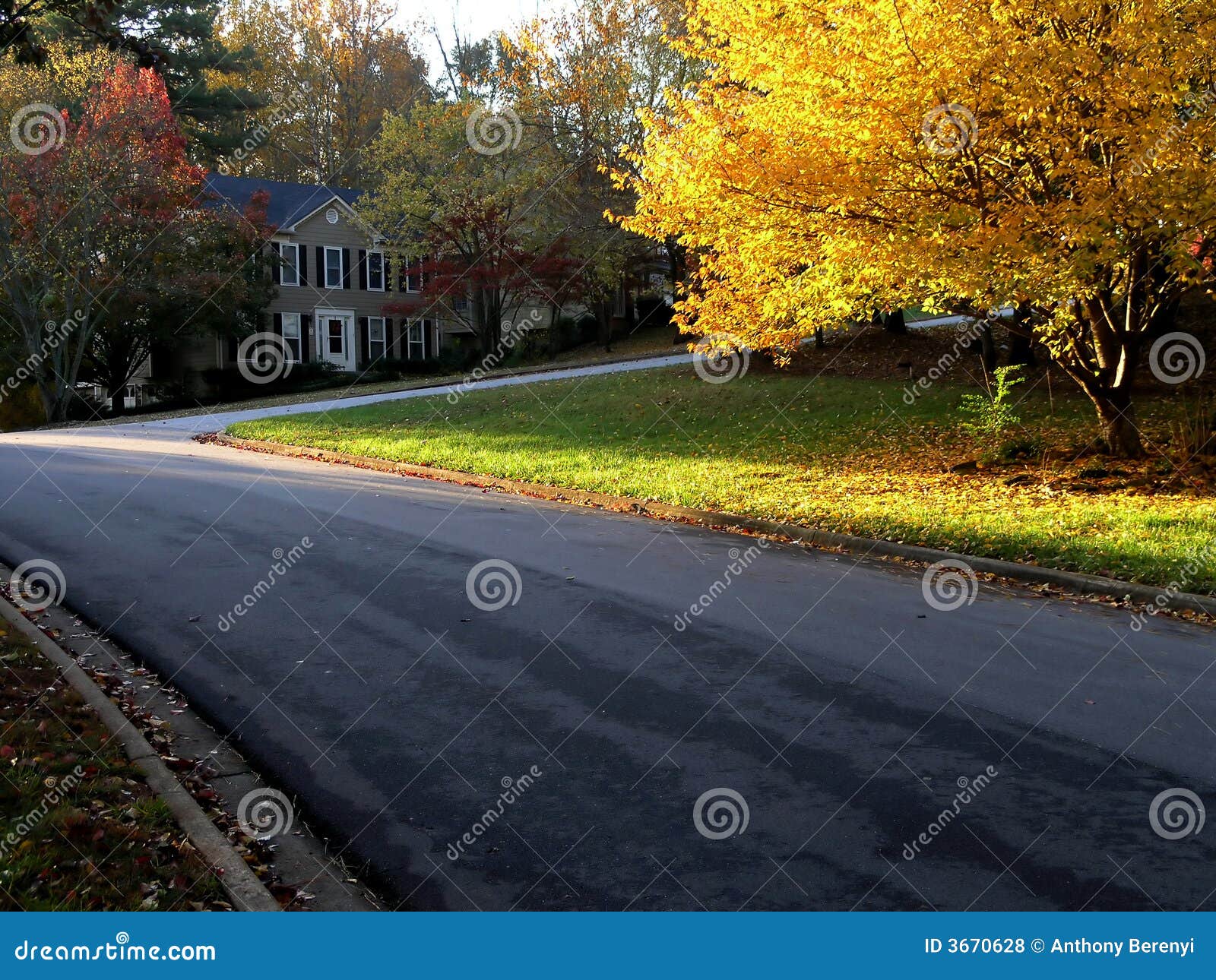 Fall Colors in Suburbia 2 stock photo. Image of rural - 3670628