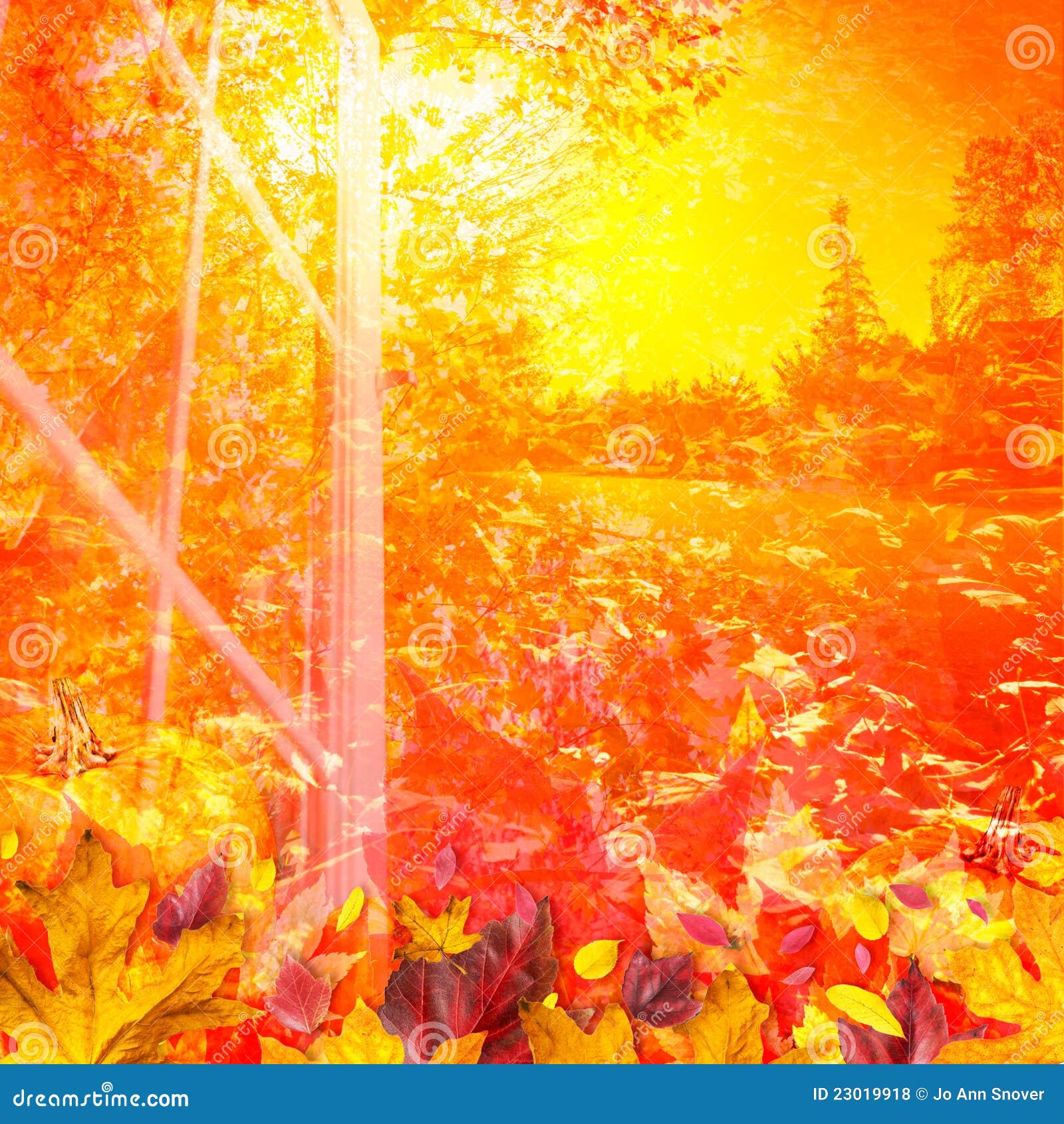 Fall colors in sunlight stock photo. Image of window - 23019918