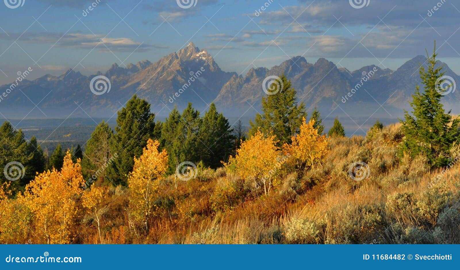 Fall Colors, the Tetons stock photo. Image of teton, foliage - 11684482