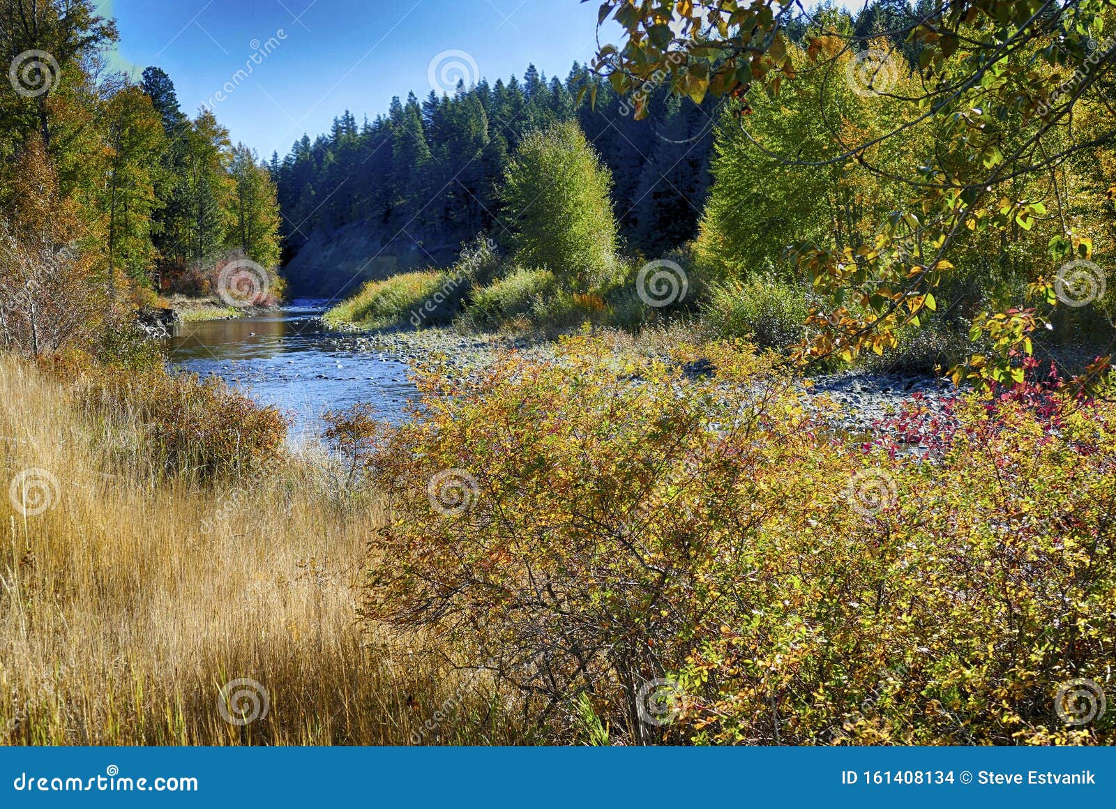 Fall Colors of Trees Along a Stream Stock Photo - Image of beautiful ...