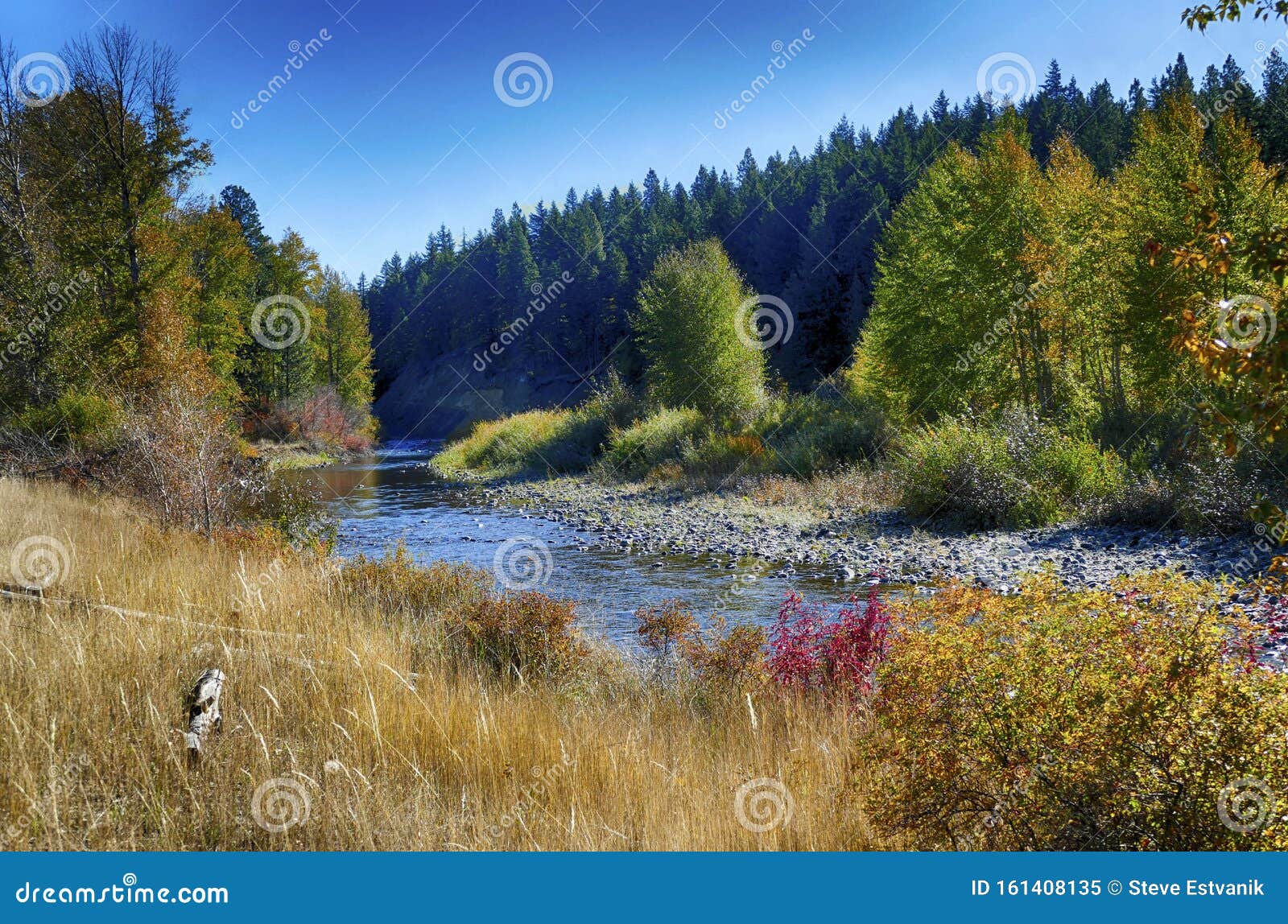 Fall Colors of Trees Along a Stream Stock Image - Image of water ...