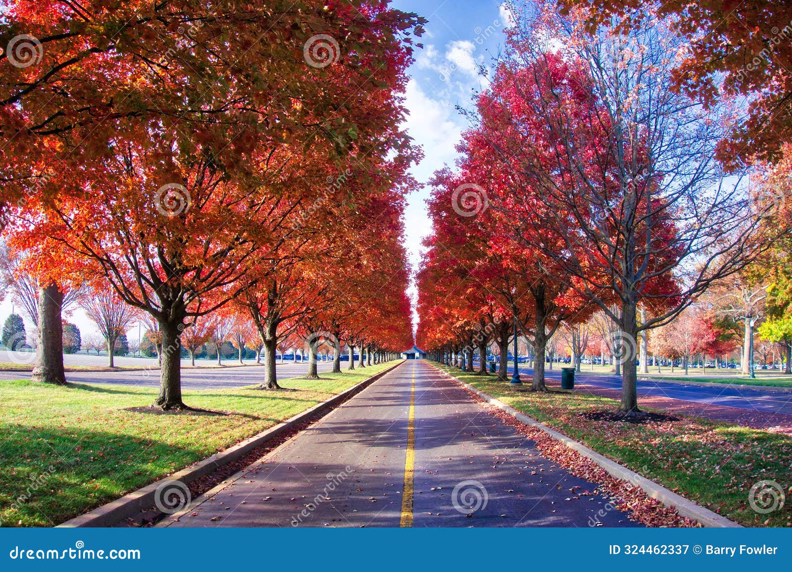 Fall colors stock image. Image of rural, leaves, rows - 324462337