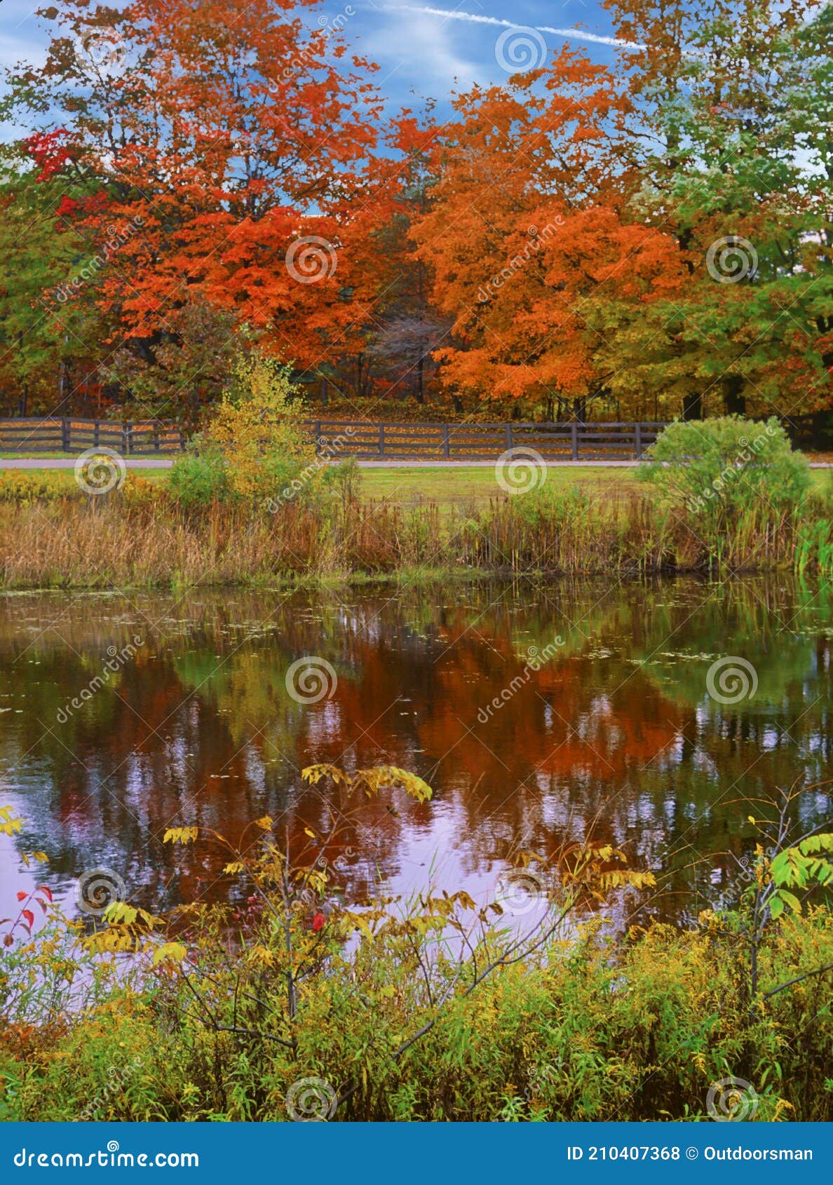 Fall Colors in Trees and Reflection Stock Photo - Image of pond, fall ...
