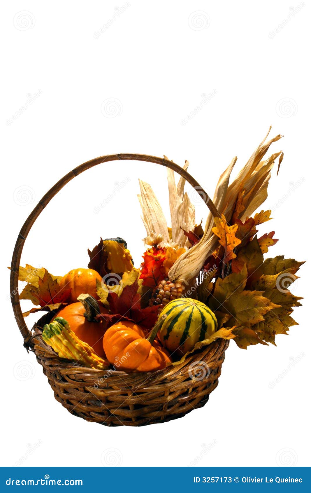 Fall Colors Vegetable Basket Isolated on White Stock Image - Image of ...