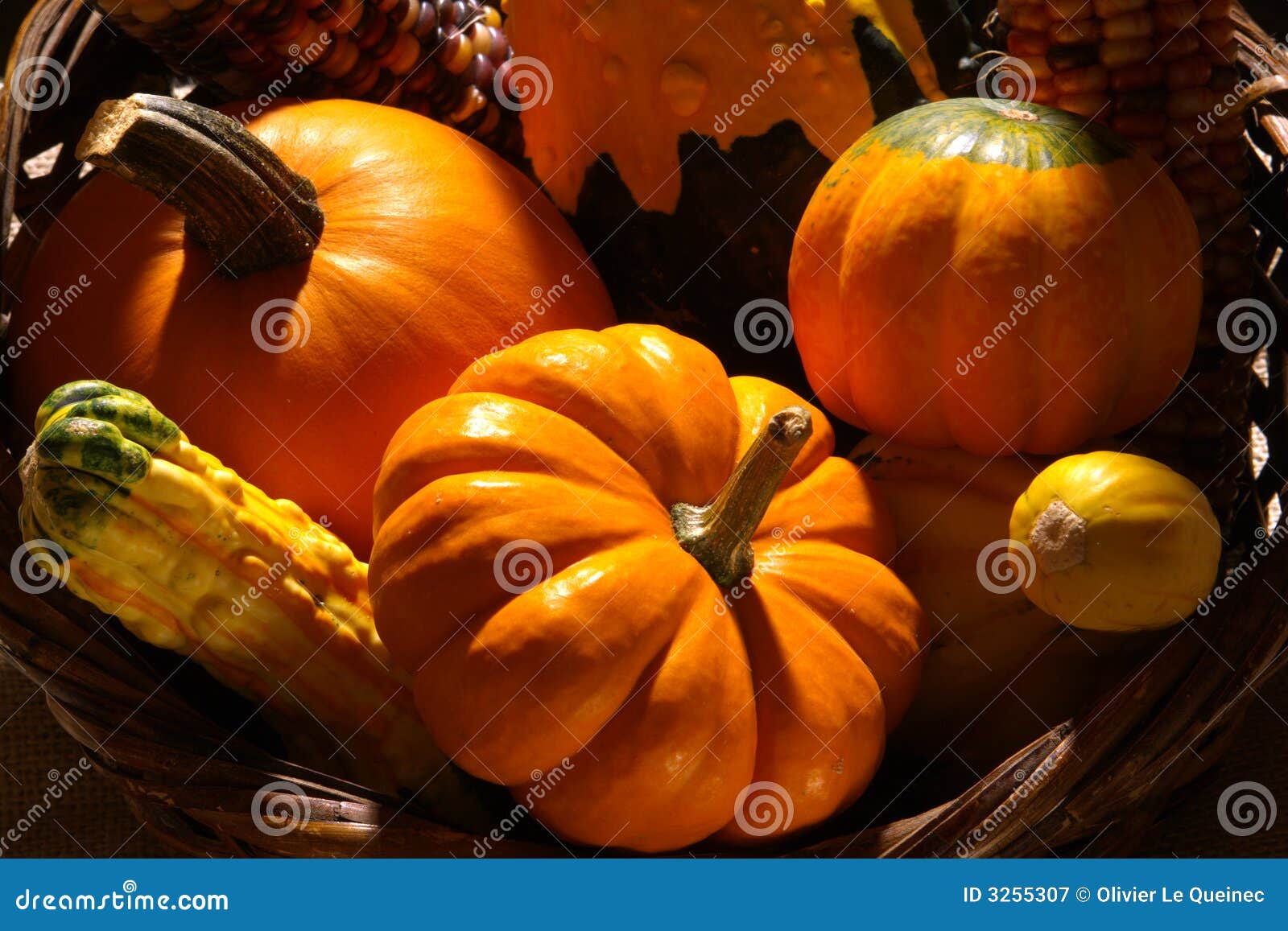 Fall Colors Vegetables stock image. Image of corn, decor - 3255307