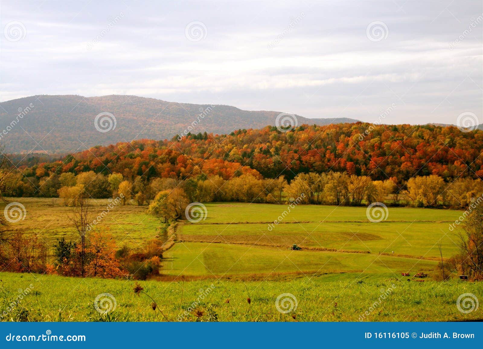 Fall Colors in Vermont stock image. Image of mountains - 16116105