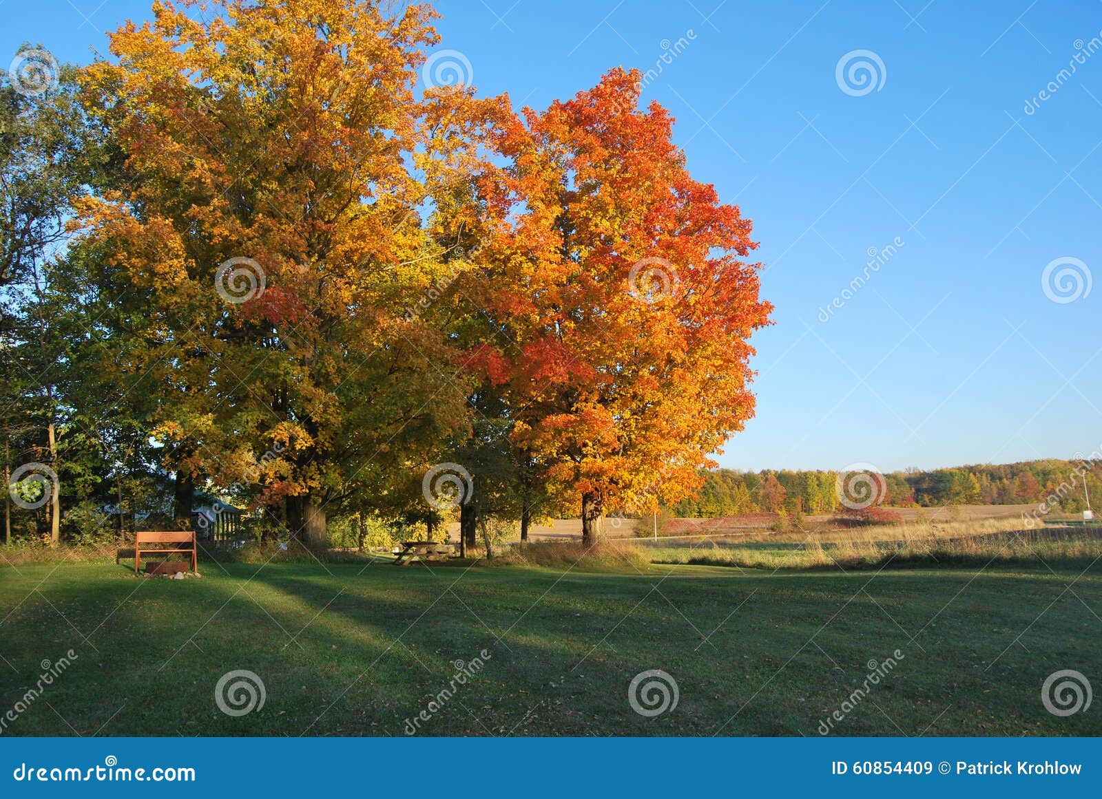 Fall colors in Wisconsin stock image. Image of maple - 60854409