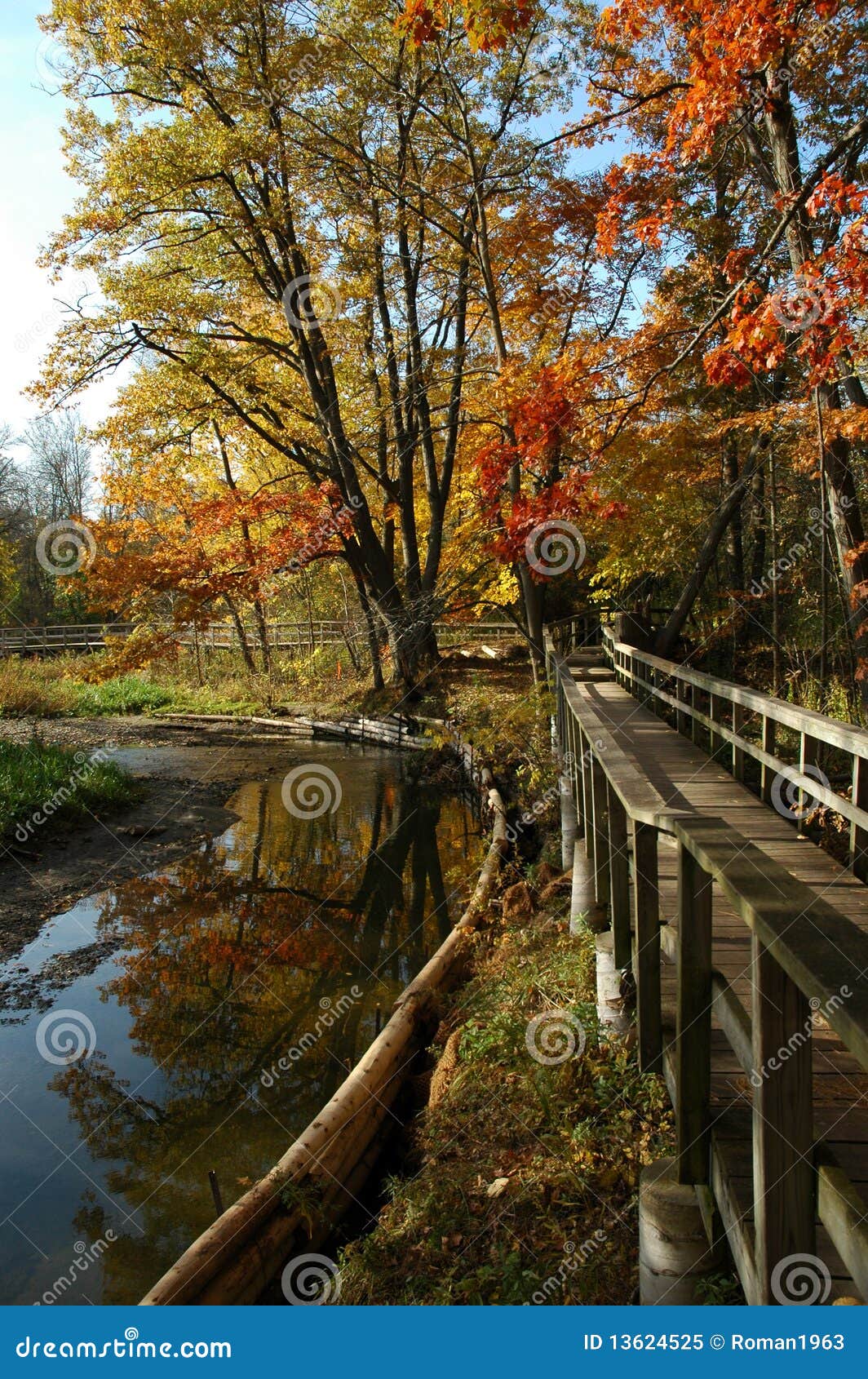 Fall Colours stock image. Image of nature, stream, trail - 13624525