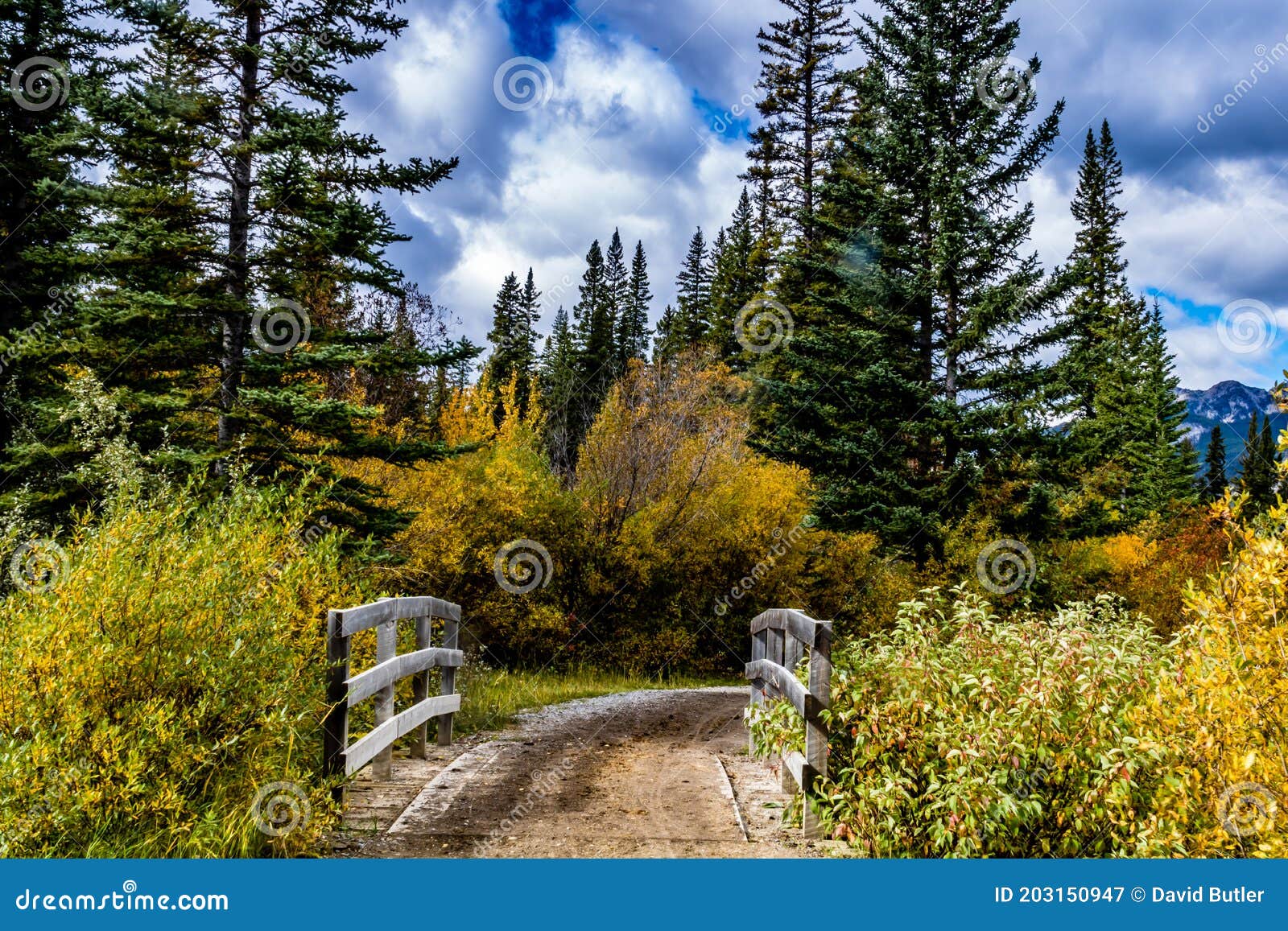 Fall Colours Abound Around Marsh Loop. Banff National Park Alberta ...