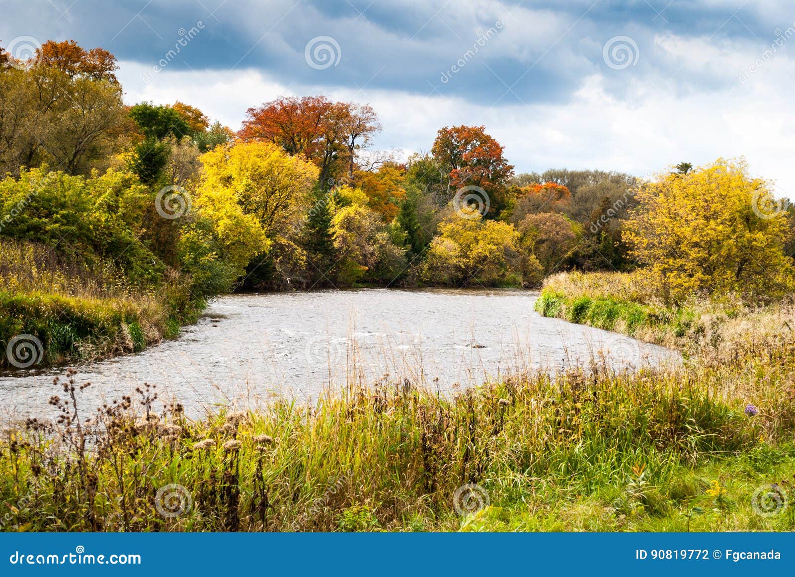 Fall Colours of the Credit River. Stock Photo - Image of trees, autumn ...
