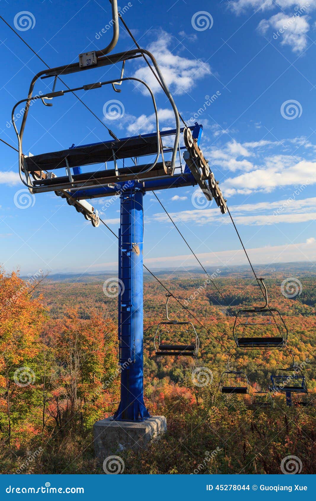 Fall Colours in Gatineau Park Stock Photo - Image of camp, golden: 45278044