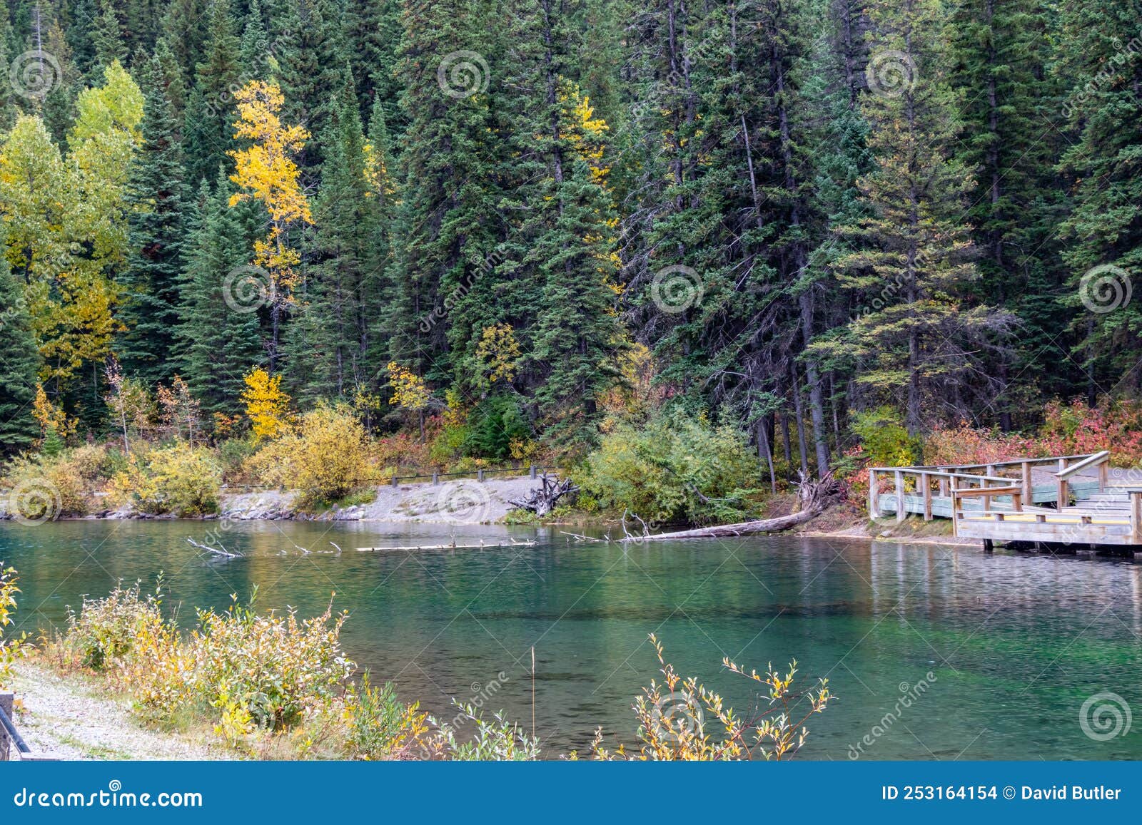 Fall Colours at Mount Lorette Ponds. Bow Valley Wilderness Area ...