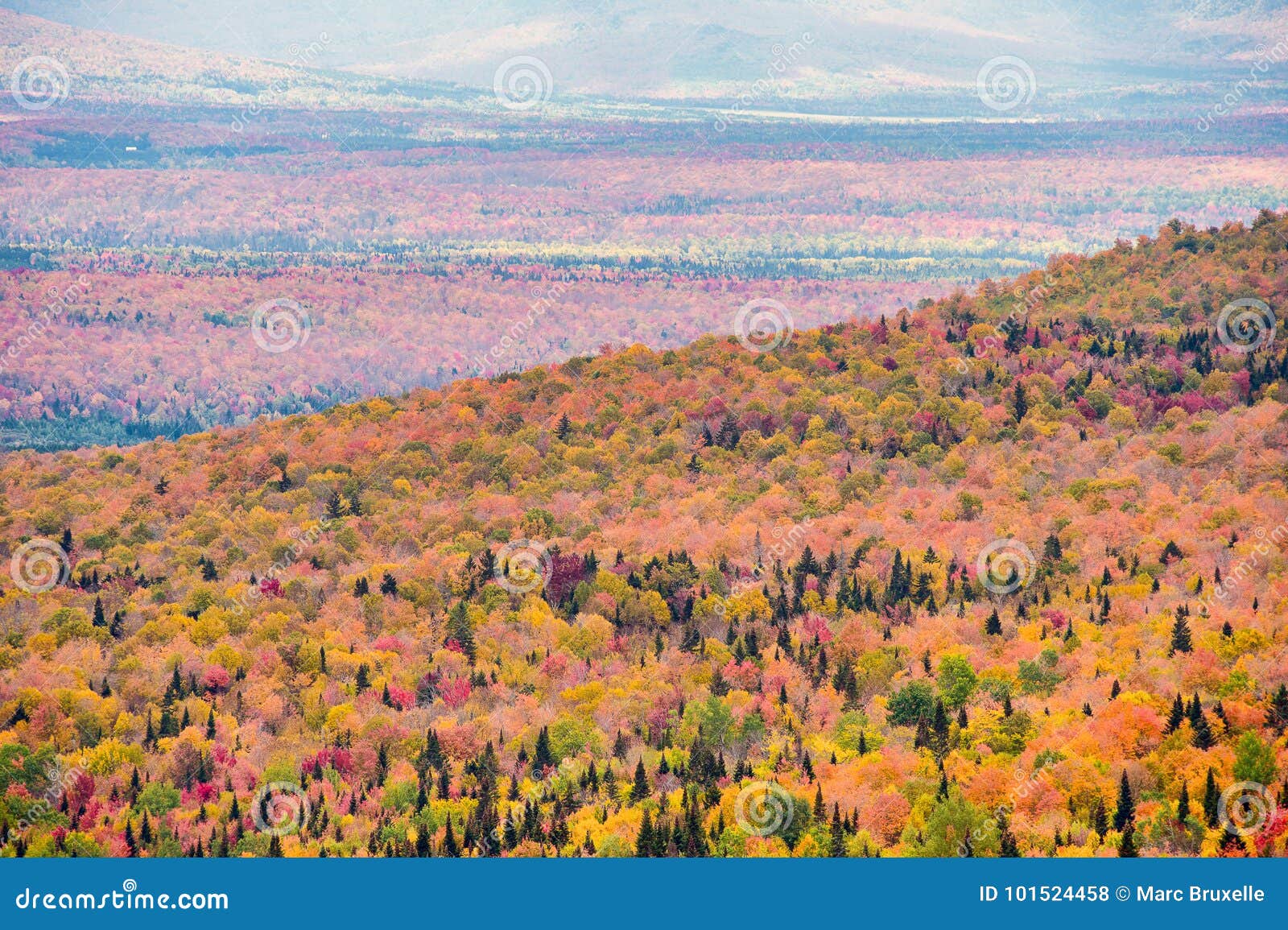 Fall Colours from Mount Megantic Stock Photo - Image of october ...