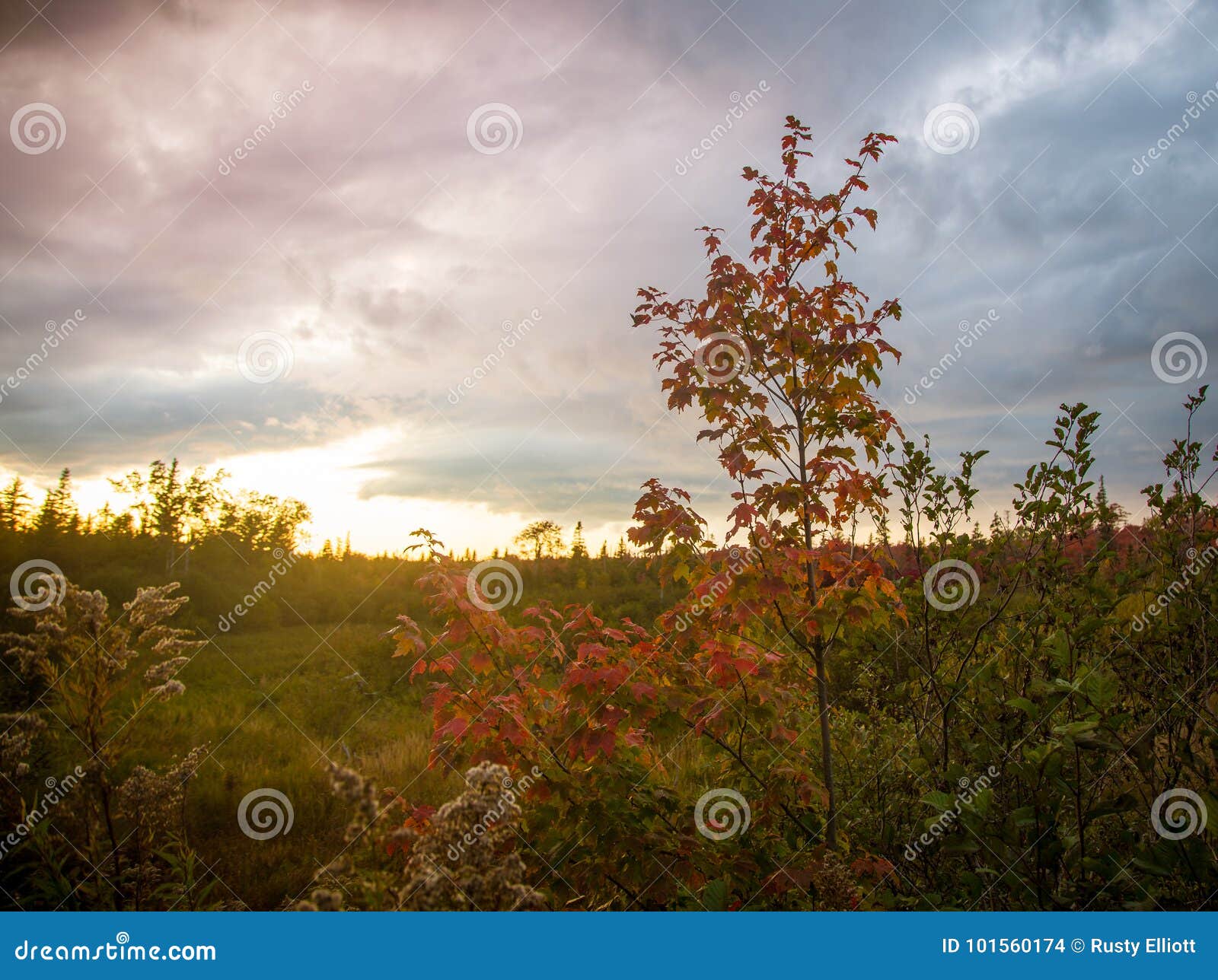 Fall Colours Prince Edward Island Stock Photo - Image of foliage ...
