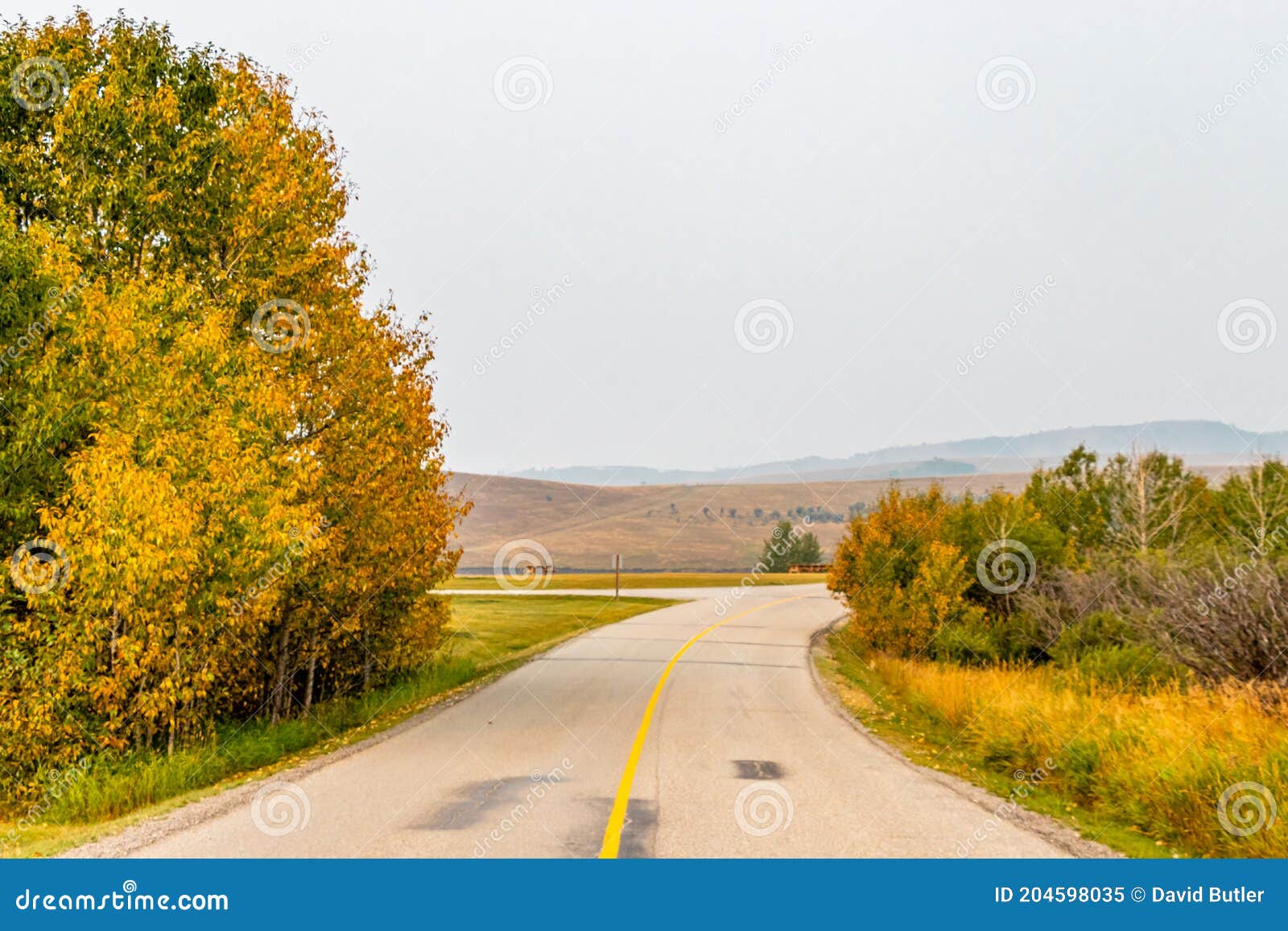 Fall Colours Start To Settle into the Bush. Chain Lakes Provincial Park ...
