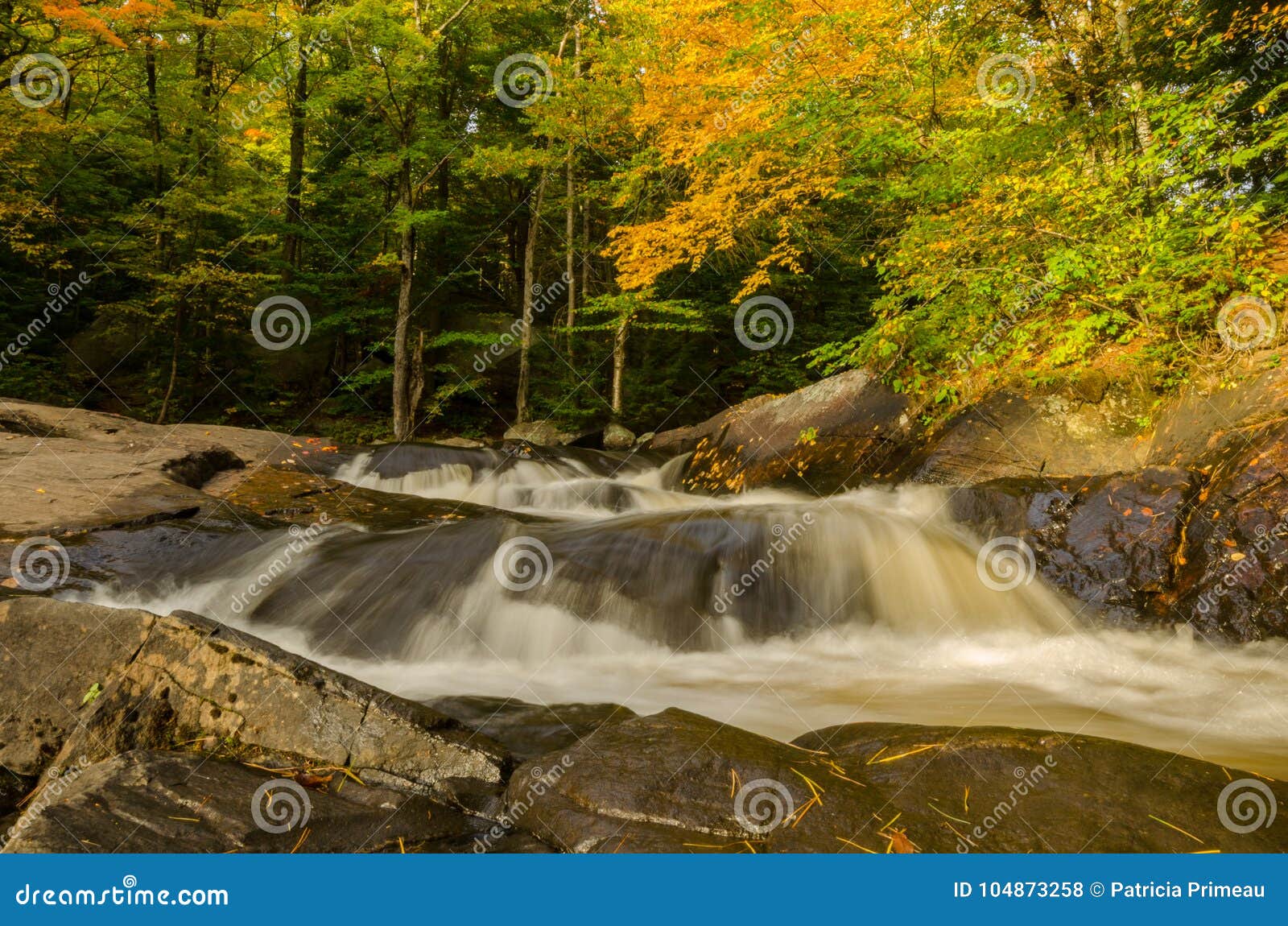 Fast Rapids in Slow Speed with Large Rocks and Colourful Fall Trees ...