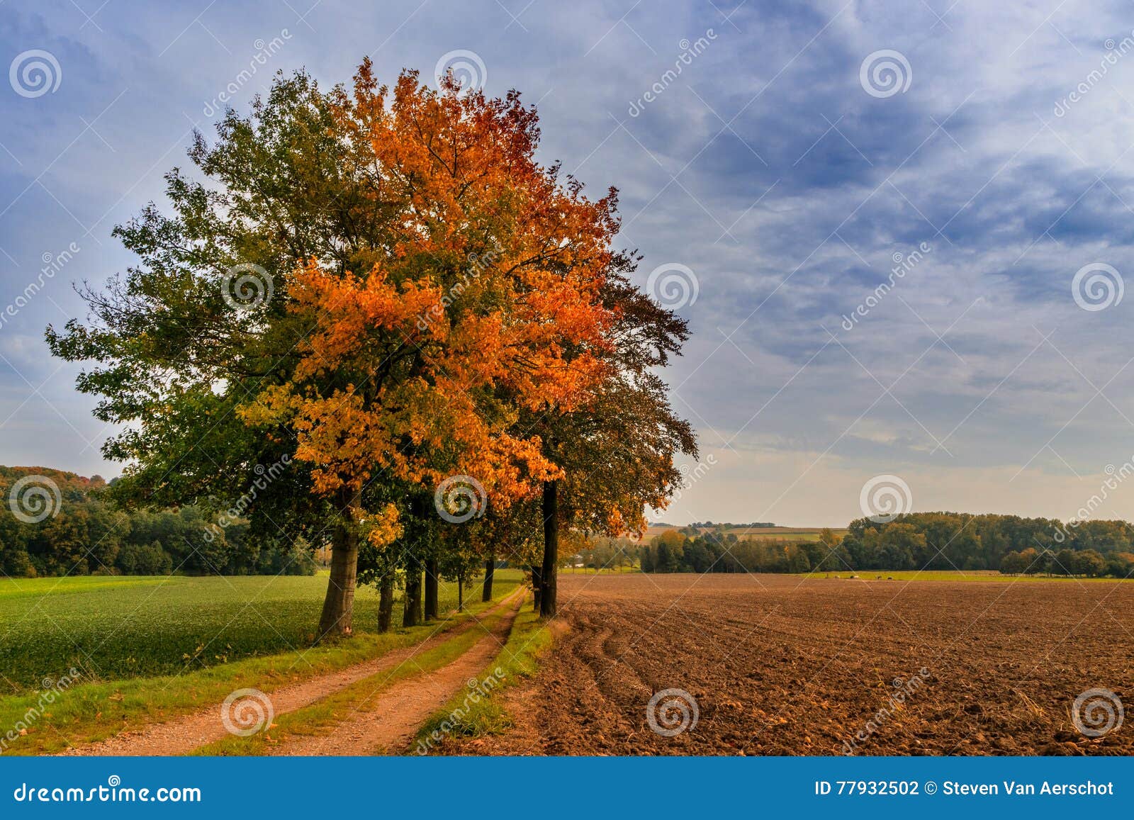 Fall is coming stock photo. Image of scenic, ecology - 77932502