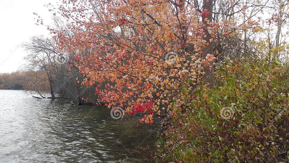 Fall is coming stock photo. Image of lake, fall, leaf - 165757620