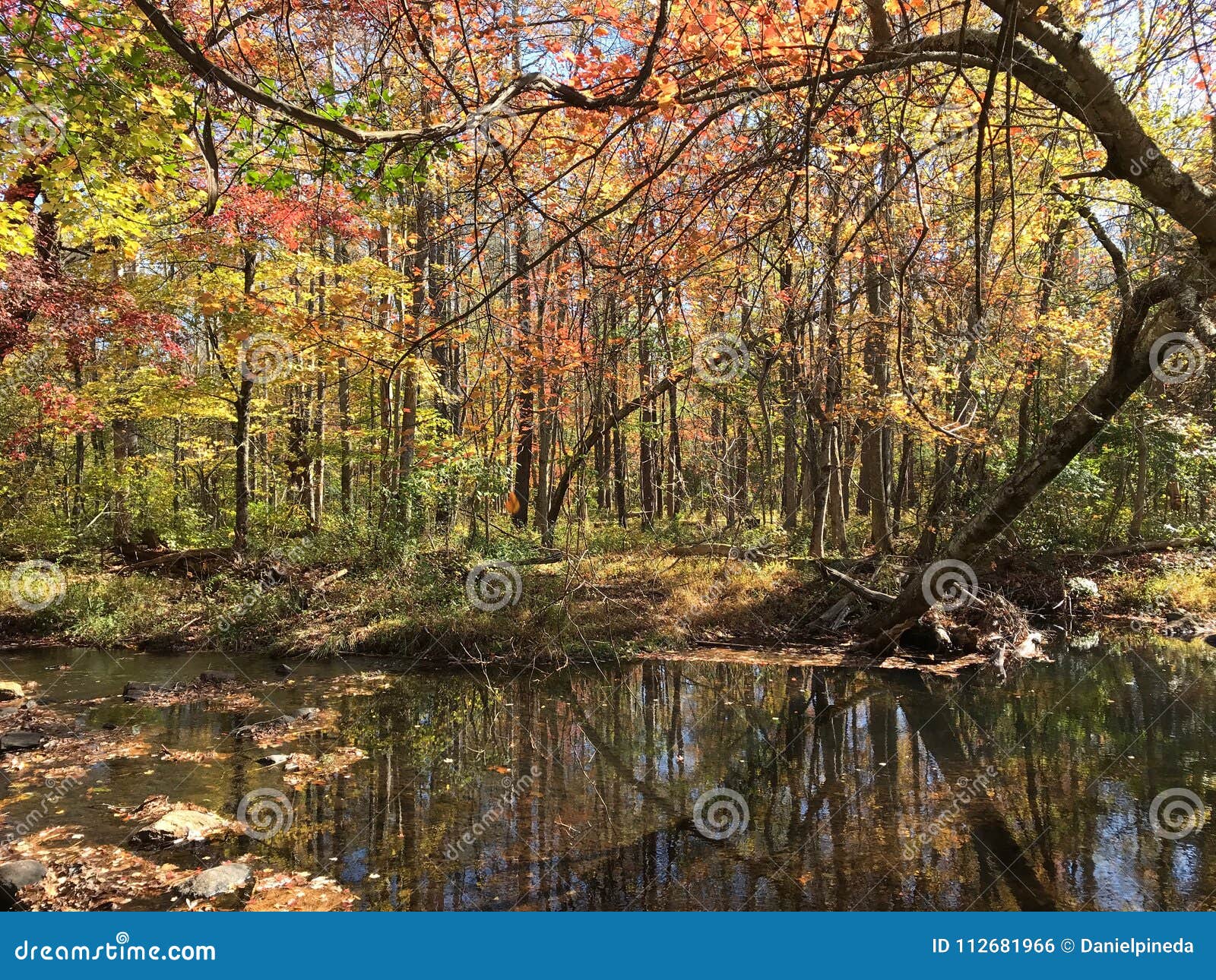 Fall in Connecticut. Color Trees Over the River Stock Photo - Image of ...