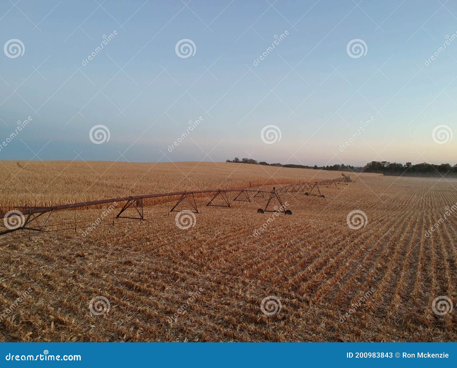 Fall Corn Harvest stock image. Image of machinery, farming - 200983843