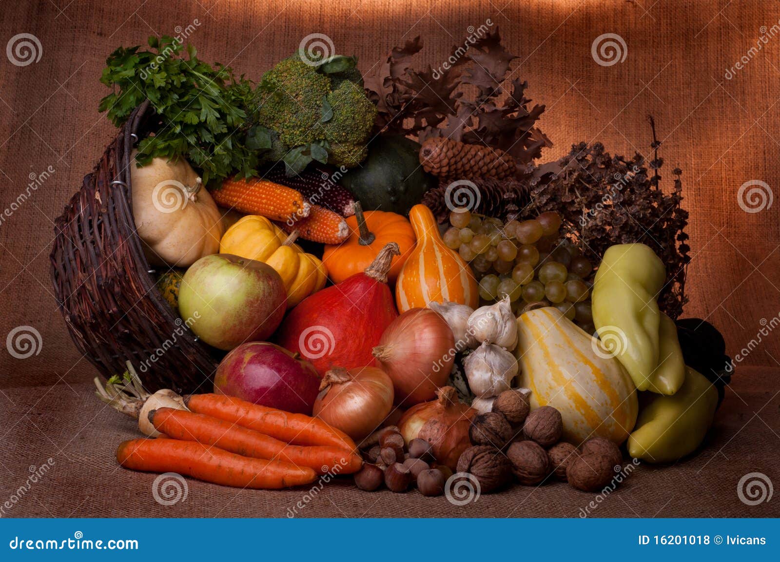 Fall cornucopia stock photo. Image of abundance, festive - 16201018