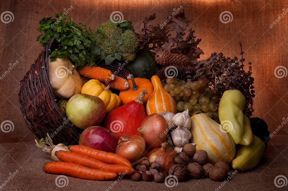 Fall cornucopia stock photo. Image of abundance, festive - 16201018