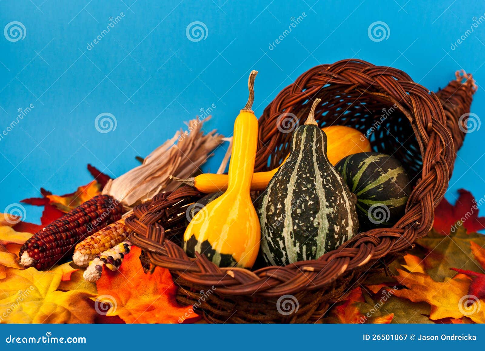 Fall Cornucopia stock image. Image of bright, horn, empty - 26501067