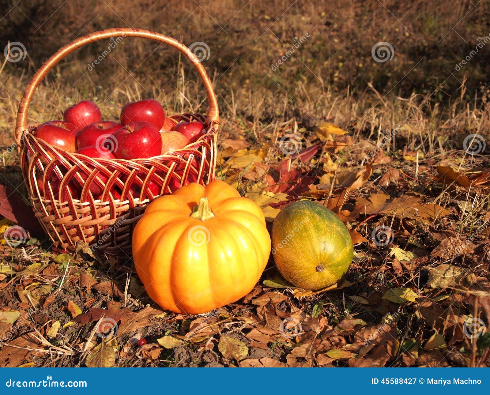 Fall cornucopia stock image. Image of feast, color, basket - 45588427