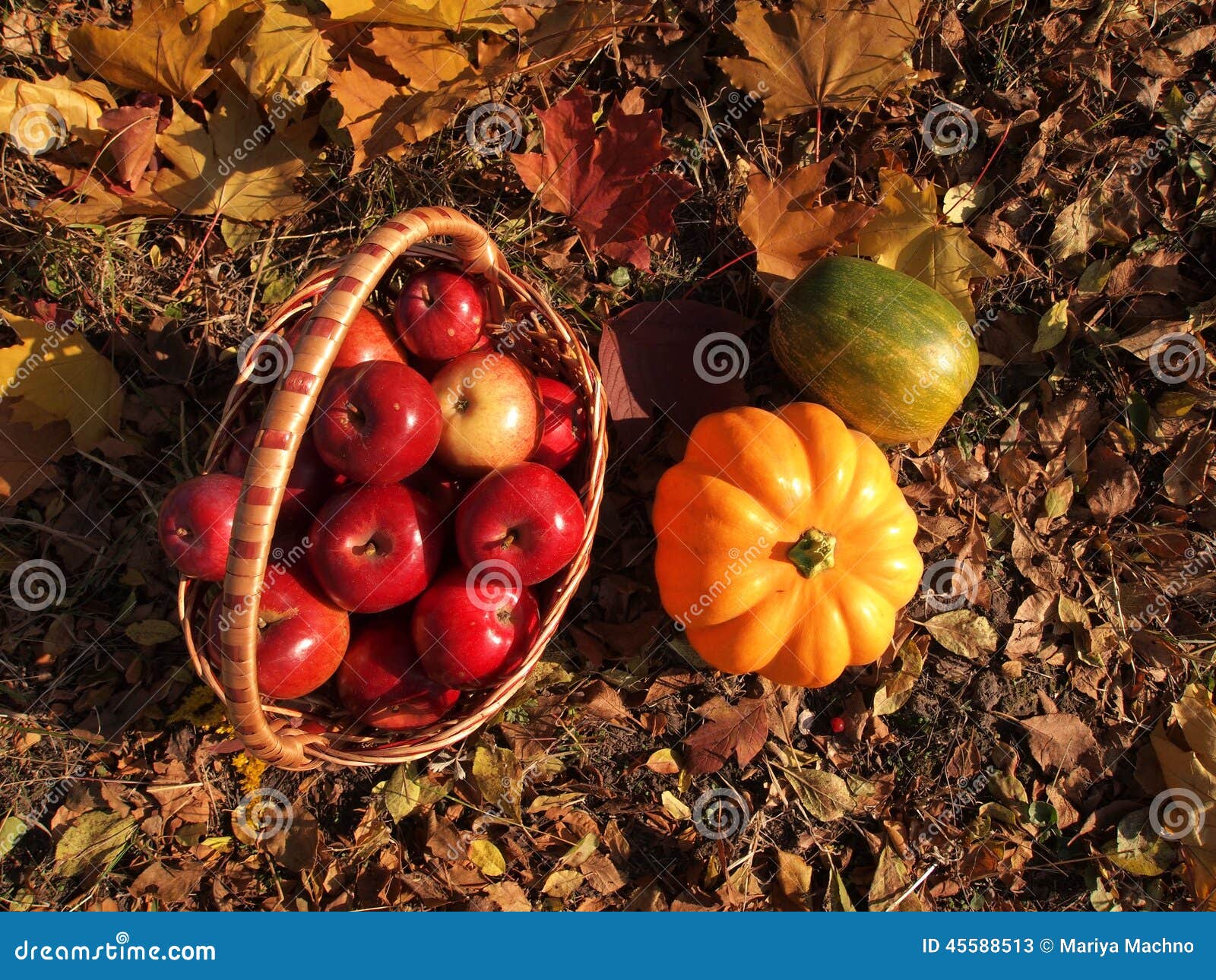 Fall cornucopia stock image. Image of color, colorful - 45588513