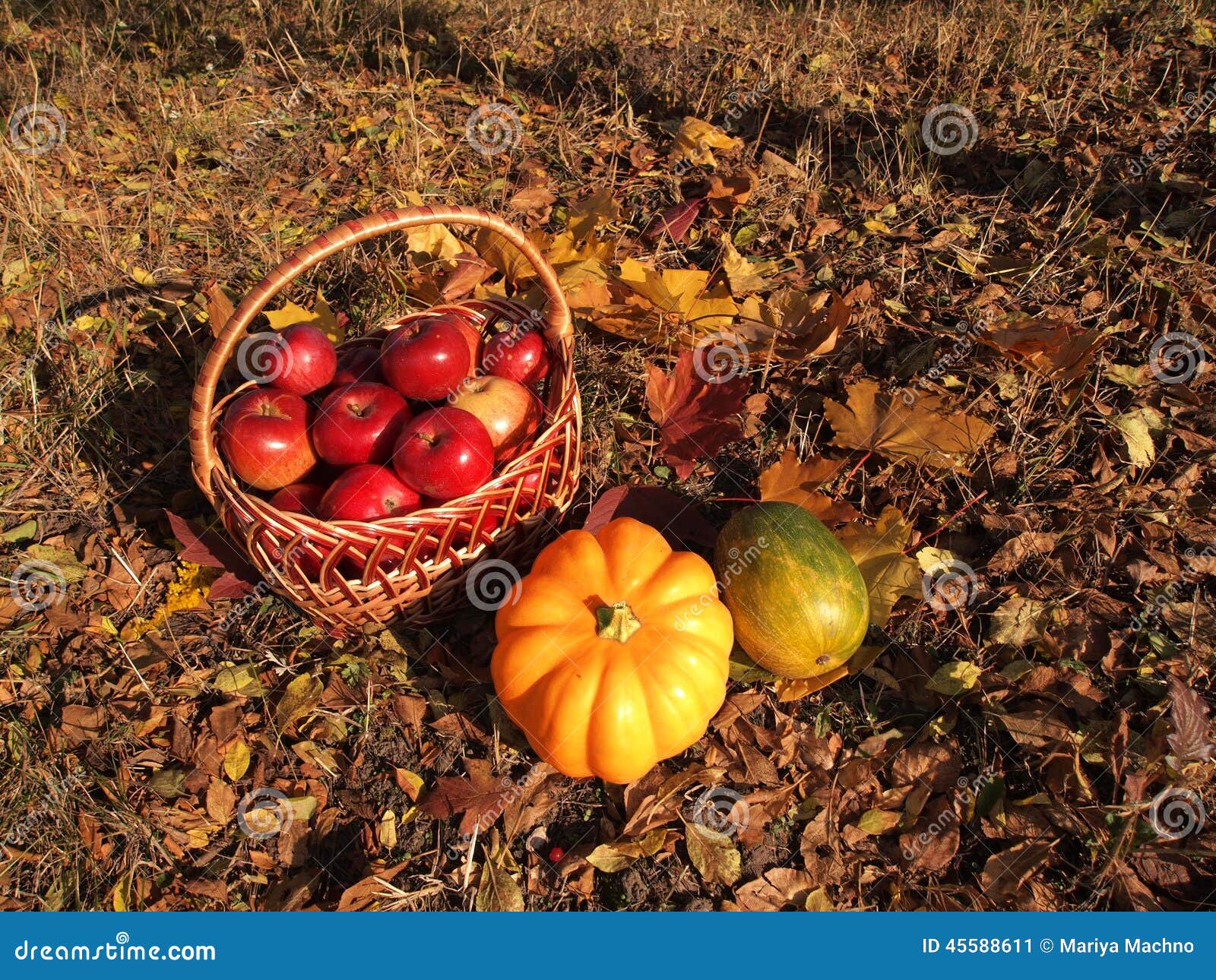 Fall cornucopia stock image. Image of holiday, abstract - 45588611