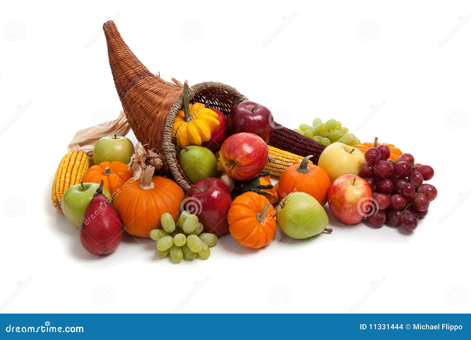 Fall Cornucopia on a White Back Ground Stock Photo - Image of autumn ...