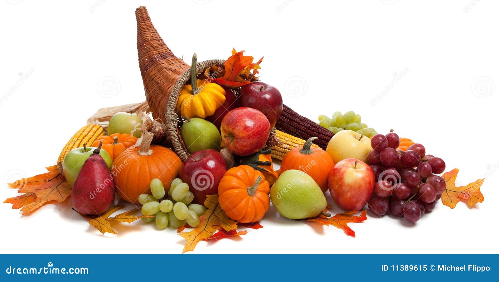 Fall Cornucopia On A White Back Ground Stock Image - Image of corn ...