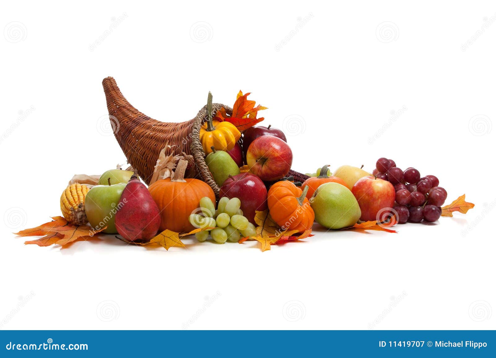 Fall Cornucopia on a White Back Ground Stock Image - Image of pear ...