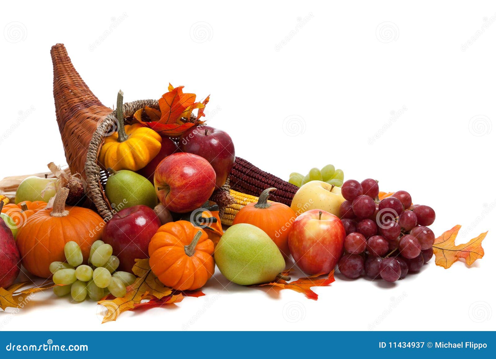Fall Cornucopia on a White Back Ground Stock Image - Image of gourd ...