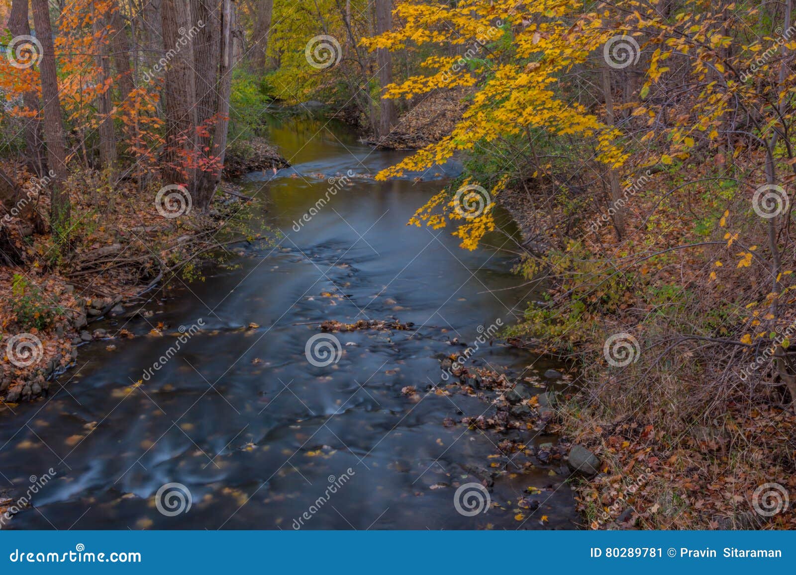 Fall in the country stock image. Image of moring, beautiful - 80289781