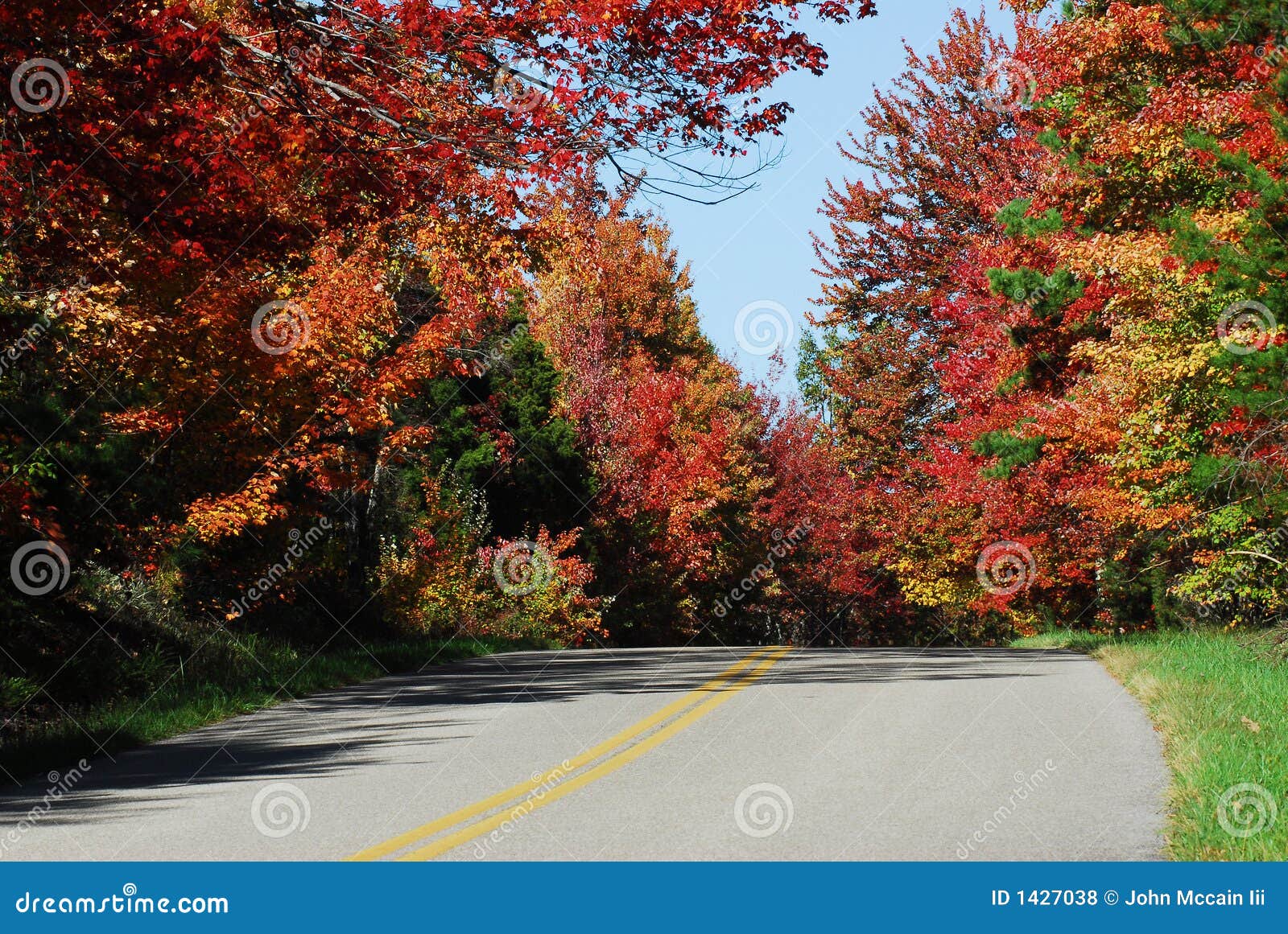 Fall Country Road stock photo. Image of travel, back, colors - 1427038